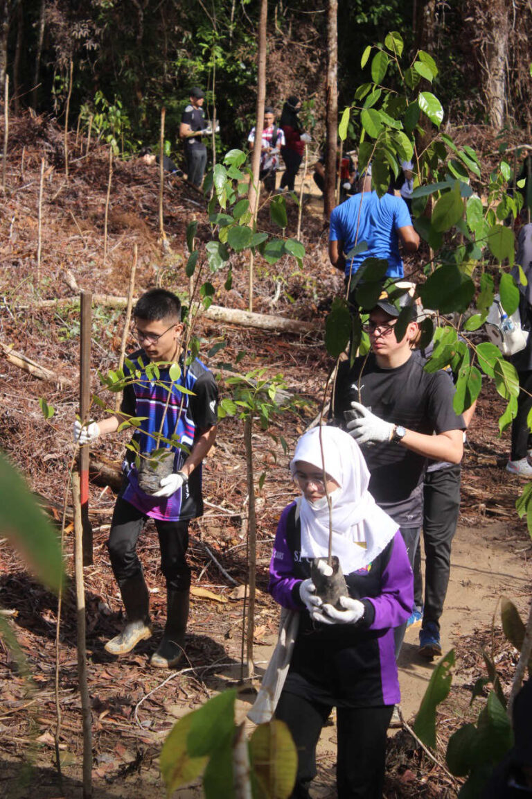 Green Brunei – Youth-led platform for environmental sustainability.
